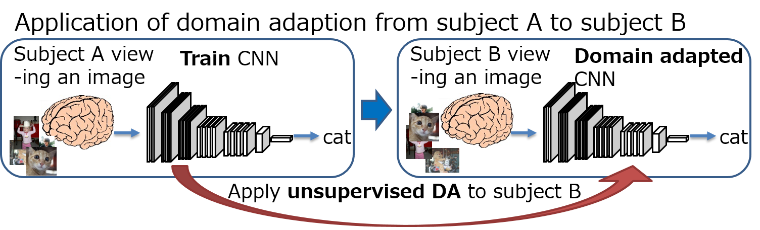 脳活動のドメイン適合 Inside Brain Net